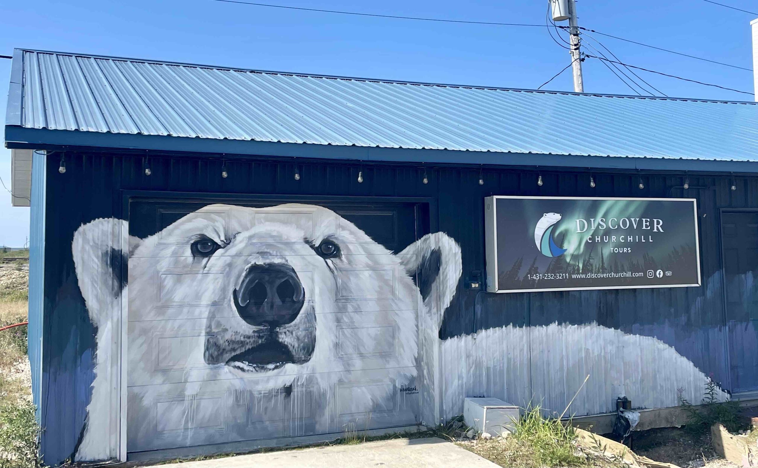 Churchill, MB: The Gateway to Bears, Belugas, Borealis and more ...